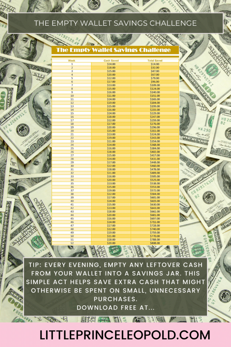 The Empty Wallet Savings Challenge - littleprinceleopold.com